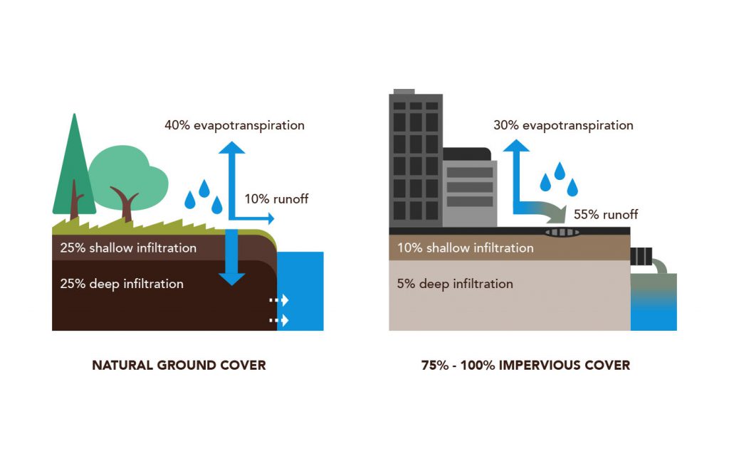 Rain garden systems prevent pollutants from entering streams and rivers